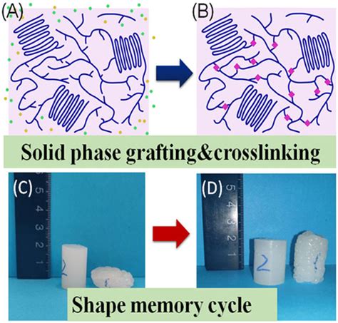 Characterization Of Shape Memory Silane Cross‐linked Low‐density Polyethylene Prepared By Solid