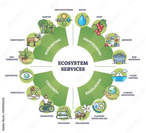 Ecosystem Services And Nature Based Ecological Solutions Outline