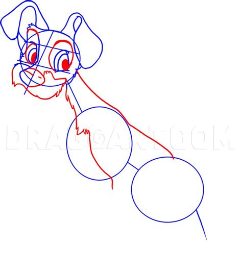 How To Draw Tramp Step By Step Drawing Guide By Dawn Dragoart Com Drawings Disney