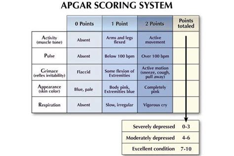 Apgar Score Apgar Score Pediatric Nursing Nursing Mnemonics