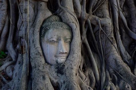 Premium Photo Statue Of Buddha In Temple
