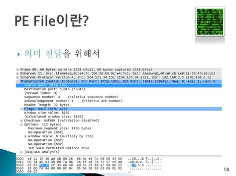 Ppt Pe Portable Executable File 구조 Powerpoint Presentation Free