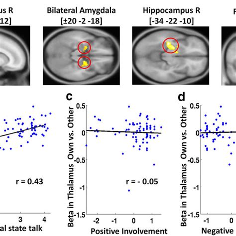 Neural Correlates For Maternal Mental State Talk A Maternal Mental Download Scientific