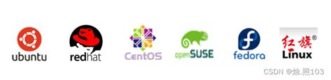 Linux操作系统极速入门 常用指令 Linux急速入门 Csdn博客