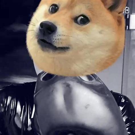 Nose Sounding Thisvid Com