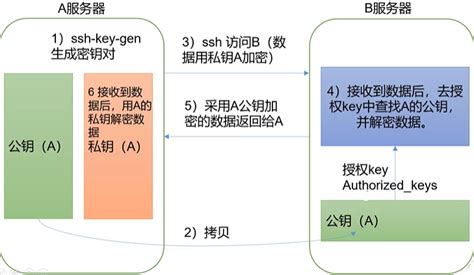 【大数据】hadoop的运行模式（root用户下、尚硅谷hadoop入门hadoop三种运行模式 Csdn博客