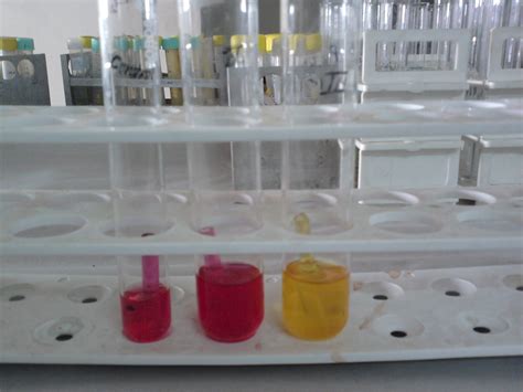 Pdf Identification Of Hydrocarbon Degrading Bacteria By Molecular Characterization