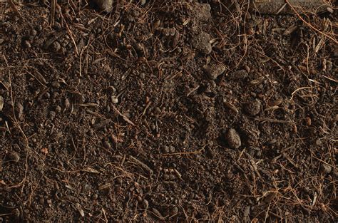 Peat Bogs In Motion Hodder Education Magazines