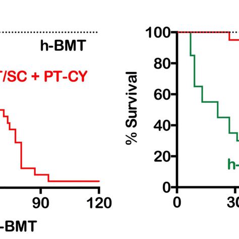 Survival From Gvhd Following Mac And Ric Haploidentical Bmt H Bmt