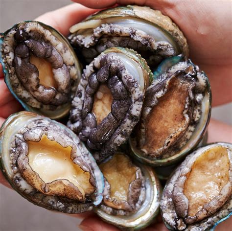 ⛵ ps4 e4 abalone dataset from uci kaggle