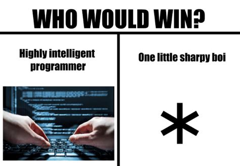 i love pointers r programmerhumor