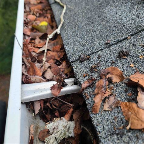 Gutter Cleaning And Maintenance Let An Expert Handle It