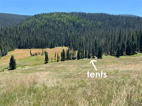 Hike Mount Baldy Loop For Its Meadows And Views Wildpathsaz
