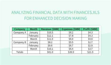 Understanding The Net Present Value Npv For Effective Financial Decision Making Excel Template