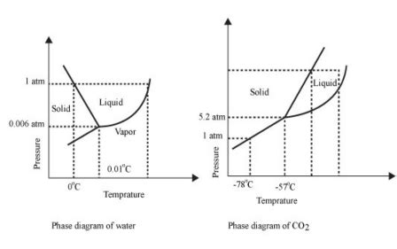 What Is Carbon Dioxide And Water Infoupdate Org