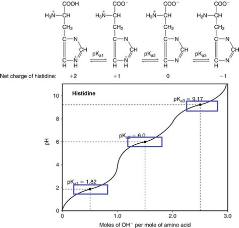 [solved] 4 20 A 10 Mm Solution Of Histidine Buffer Is Prepared At A