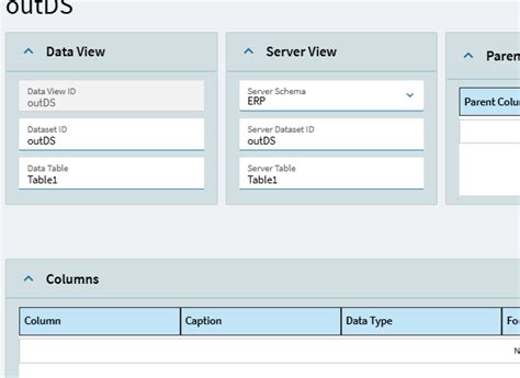 Application Studio Dataset From A Function Kinetic ERP Epicor User Help Forum