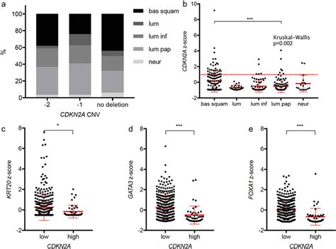 A In The Tcga Cohort The Distribution Of Tcga Rna Expression Subtypes