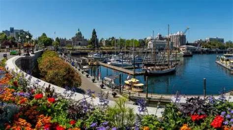 캐나다 밴쿠버 공항 픽업 및 복귀 몬스터 호수 밴프 국립공원 존스턴 캐니언 레이크 루이스 빅토리아 7일 투어 무료 온천 티켓중국어 및 영어 서비스