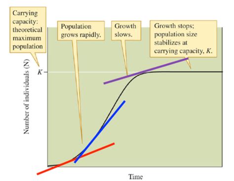 Population Regulation Ch11 Flashcards Quizlet