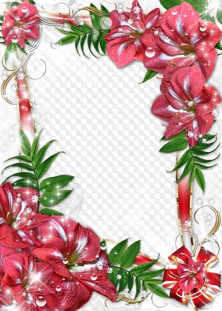 Delicate Lilies Delicate Flower Photo Frame Psd Png