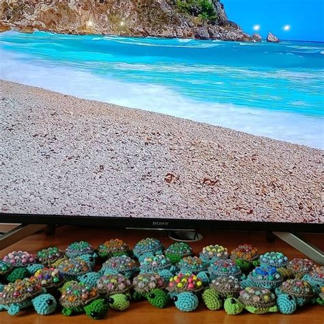 Beaded Fidget Turtle Crochet Pattern Beginner Friendly No Sew