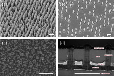 A 30° Tilted Sem Image Of As Grown Gap Nanowire Array With Pitch Of