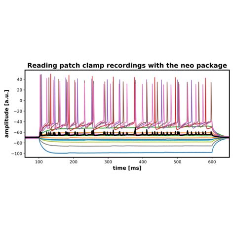 How To Read Patch Clamp Recordings In Wavemetrics Igor Binary Files