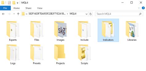 EA Trading How Do You Trade With An Expert Advisor EA