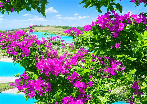 Beautiful Natural Scenery On The Beach In Summer Background Nature