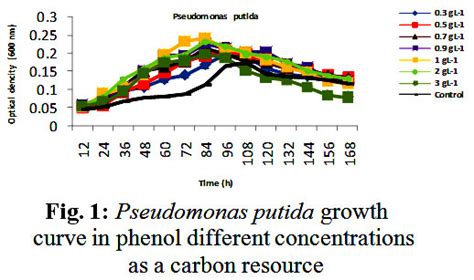 Isolation And Identification Of Phenol Degrading Bacteria From Mangrove Sediments In The Persian