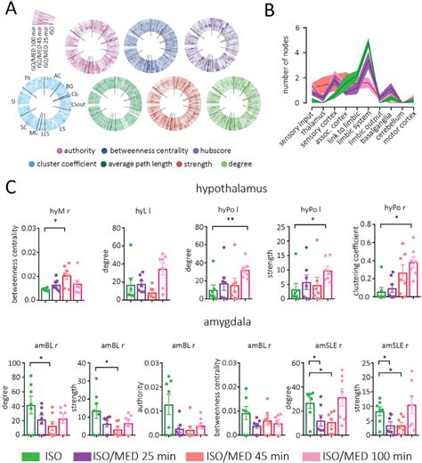 Local Network Parameters Of Individual Nodes A Circular Plots Show Download Scientific