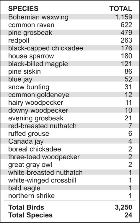 Christmas Bird Count A Record Breaker Slave Lake Ab Canada