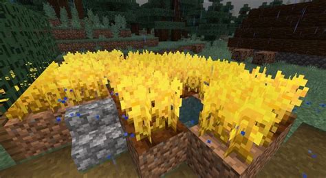 Crops Plus Texture Pack For Minecraft Bedrock
