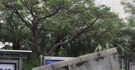 태풍 강타한 중국 샤먼의 무너진 버스 정류장 지붕