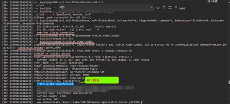 授人以鱼不如授人以渔：记录一次使用 Abap 调用 Odata 服务，遇到 401 Unauthorized 错误的详细排查过程 待注销 Segmentfault 思否