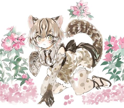 Tsushima Leopard Cat Kemono Friends Drawn By Konabetate Danbooru