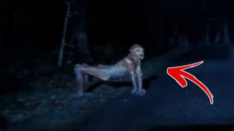 Real Scary Demons