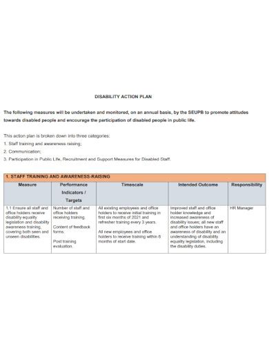 Disability Action Plan Examples To Download
