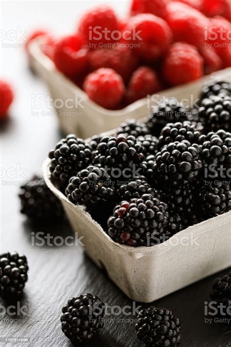 검은 배경에 골판지 용기에 신선한 잘 익은 블랙 베리와 라즈베리 0명에 대한 스톡 사진 및 기타 이미지 0명 건강한 생활방식 건강한 식생활 Istock