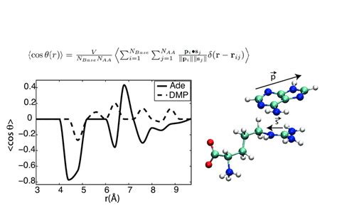 13 Left Angular Distribution Function For Arginine Relative To The