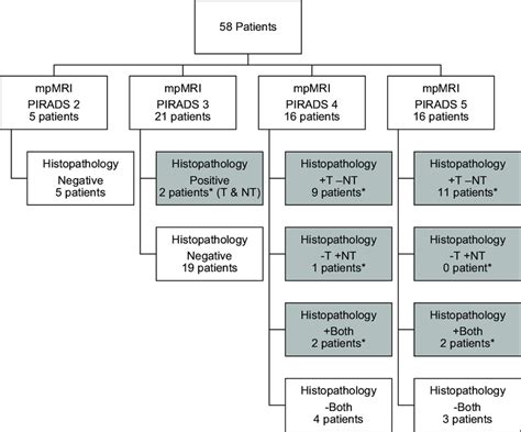 Histopathology Results According To Pi Rads Classification Legend T