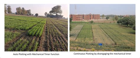 Figure E Diierent Variety Trials Of Wheat Crop Download Scientific Diagram