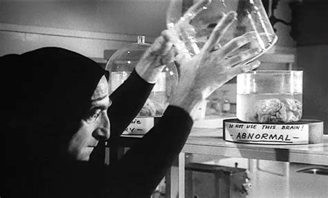 Image Classification Resnet Vs Efficientnet Vs Efficientnet V2 Vs Compact Convolutional