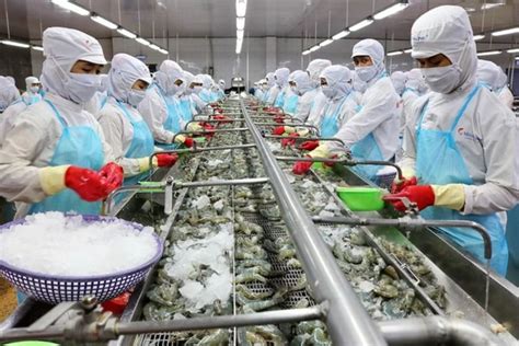Kỷ lục xuất khẩu tỷ USD doanh nghiệp thủy sản hái ra tiền thế nào