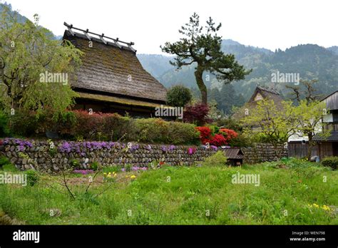 Asian Mountain Homes