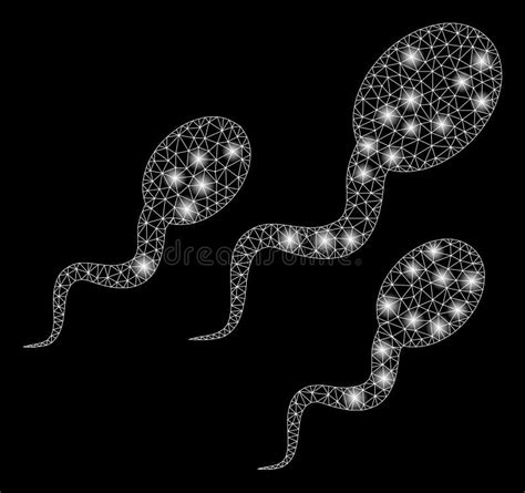 Flare Mesh Network Sperm With Flare Spots Stock Vector Illustration Of Idler Ovary 152695001