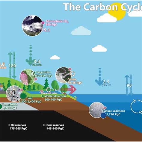 Pdf A Review Of Carbon Monitoring In Wet Carbon Systems Using Remote Sensing