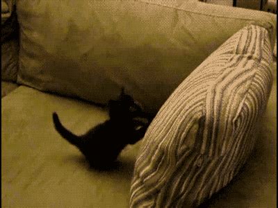 Pillow GIFs Find Share On GIPHY
