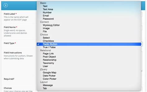 Getting Started With Advanced Custom Fields Acf — Sitepoint